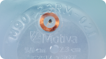 Preservé by Motiva® | Motiva®