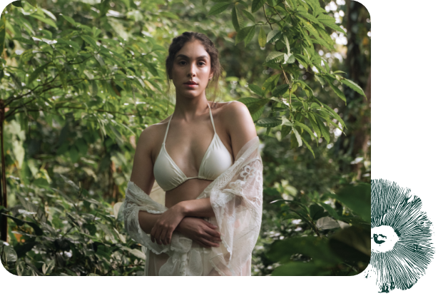 Preservé by Motiva® | Motiva®